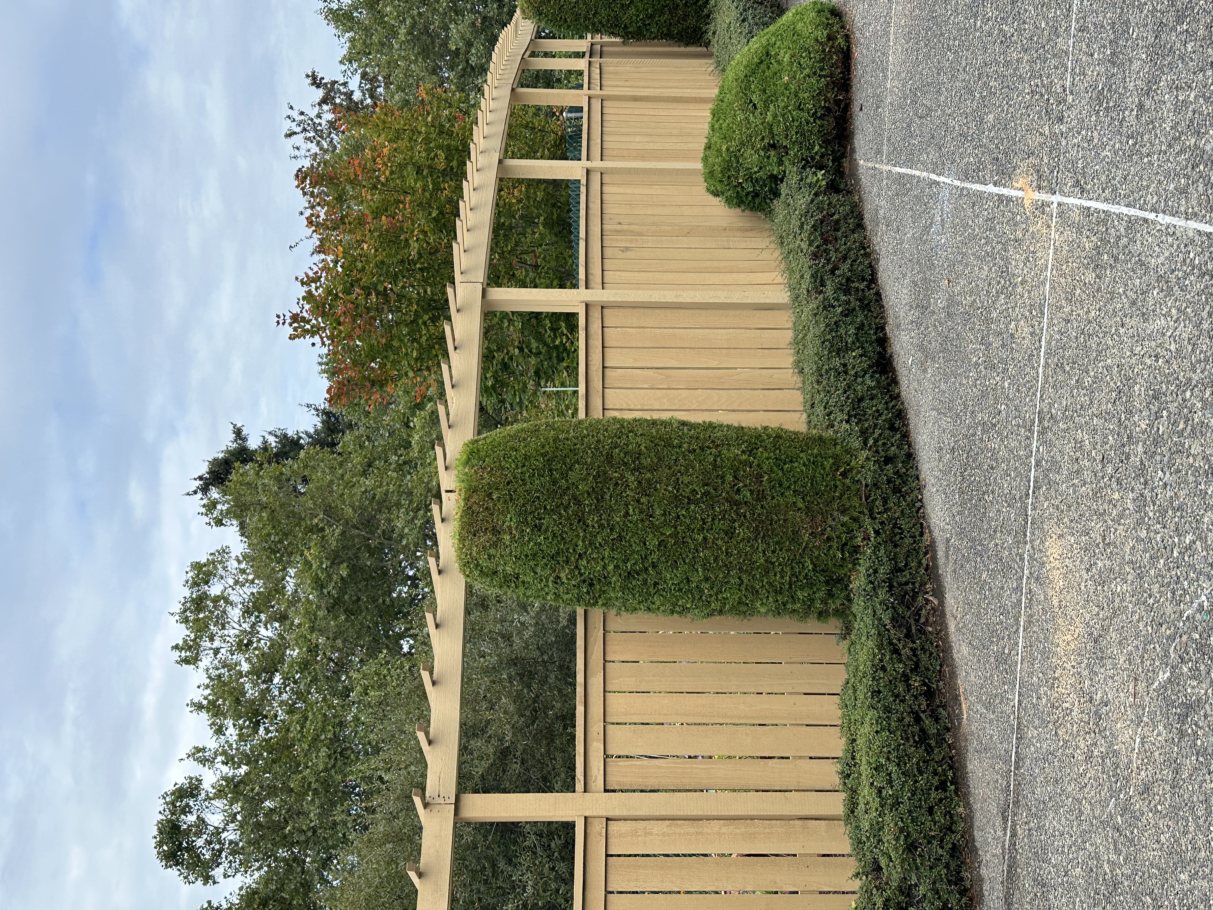Knocking Wood Construction Projects in Seattle and Bellevue